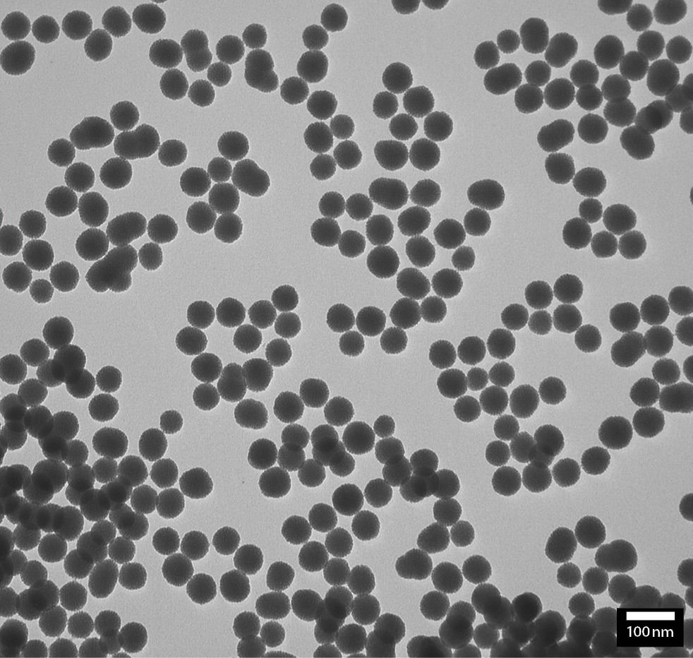 Explore the LVEM25E | Delong America